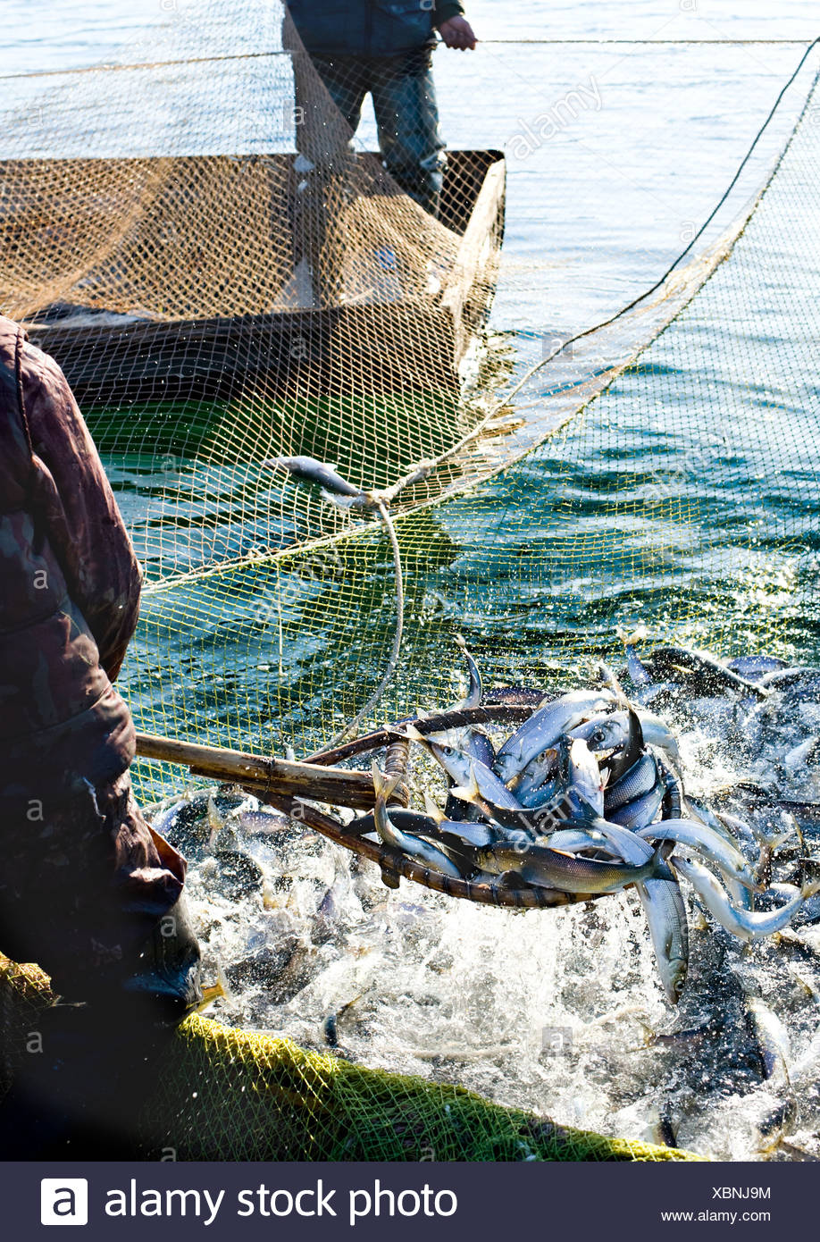 Seine Haul High Resolution Stock Photography and Images - Alamy