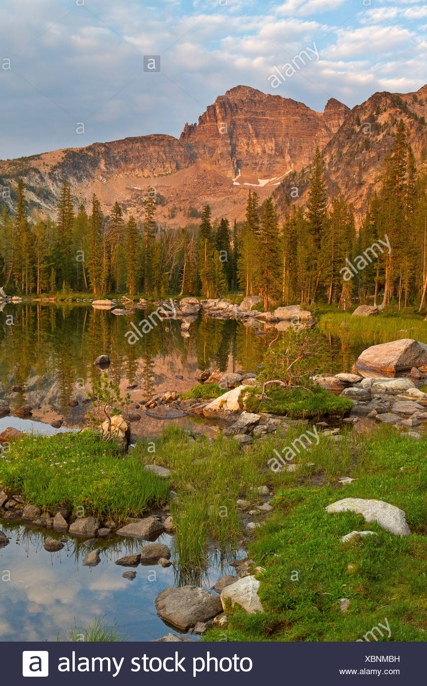 Anaconda Pintler High Resolution Stock Photography and Images - Alamy