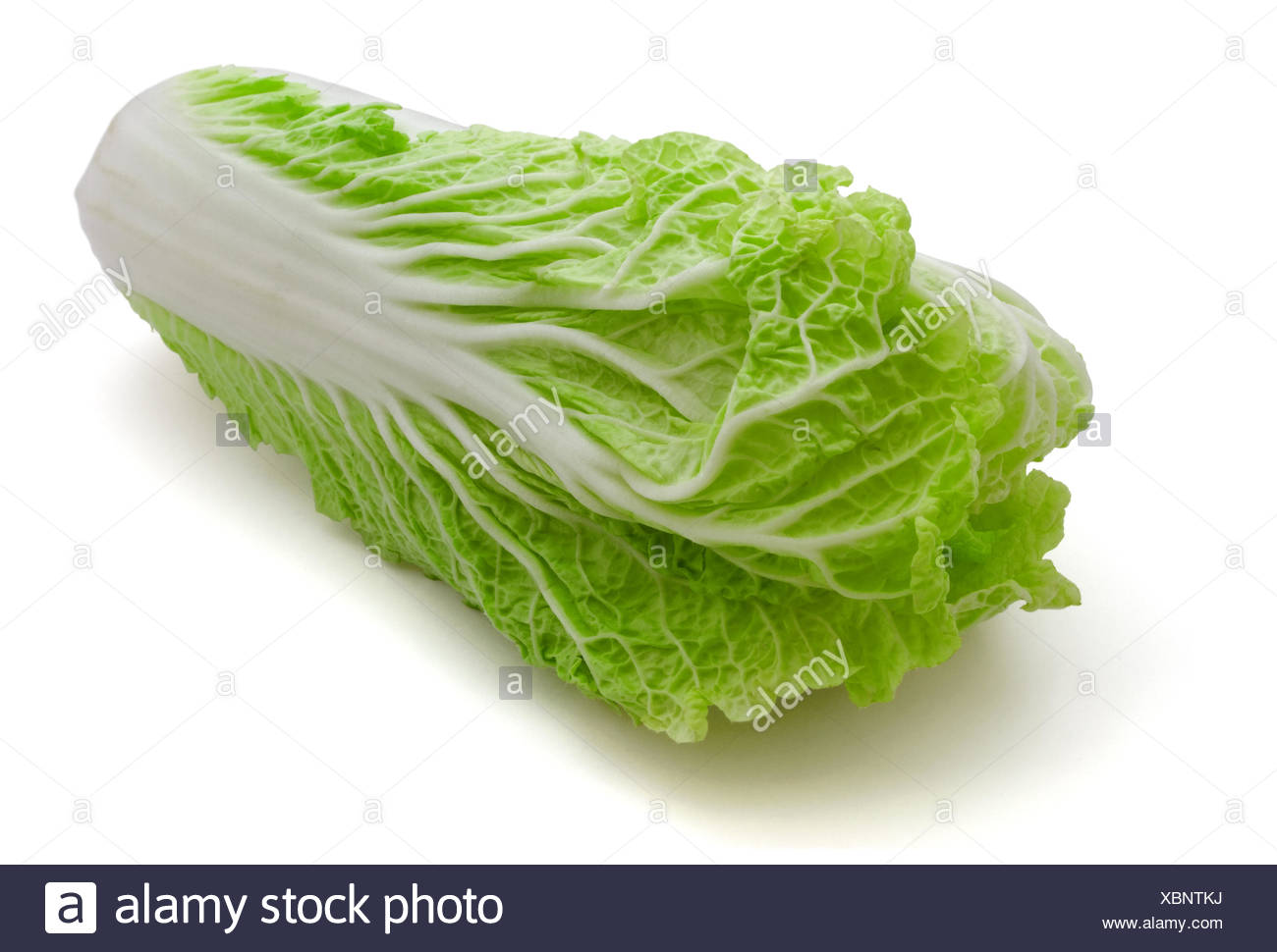 Napa Cabbage Stock Photos & Napa Cabbage Stock Images - Alamy