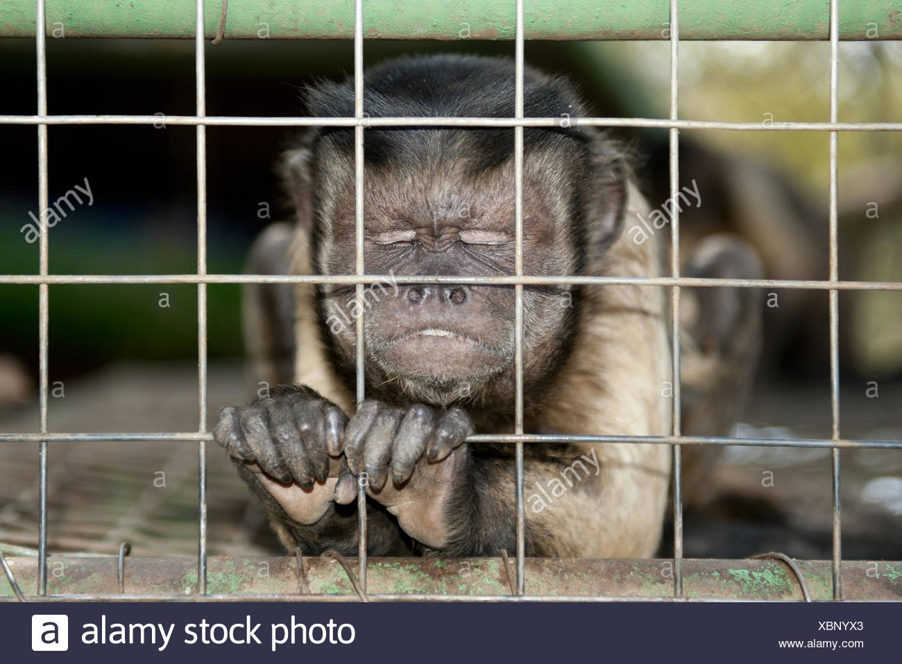 Tzaneen District High Resolution Stock Photography and Images - Alamy