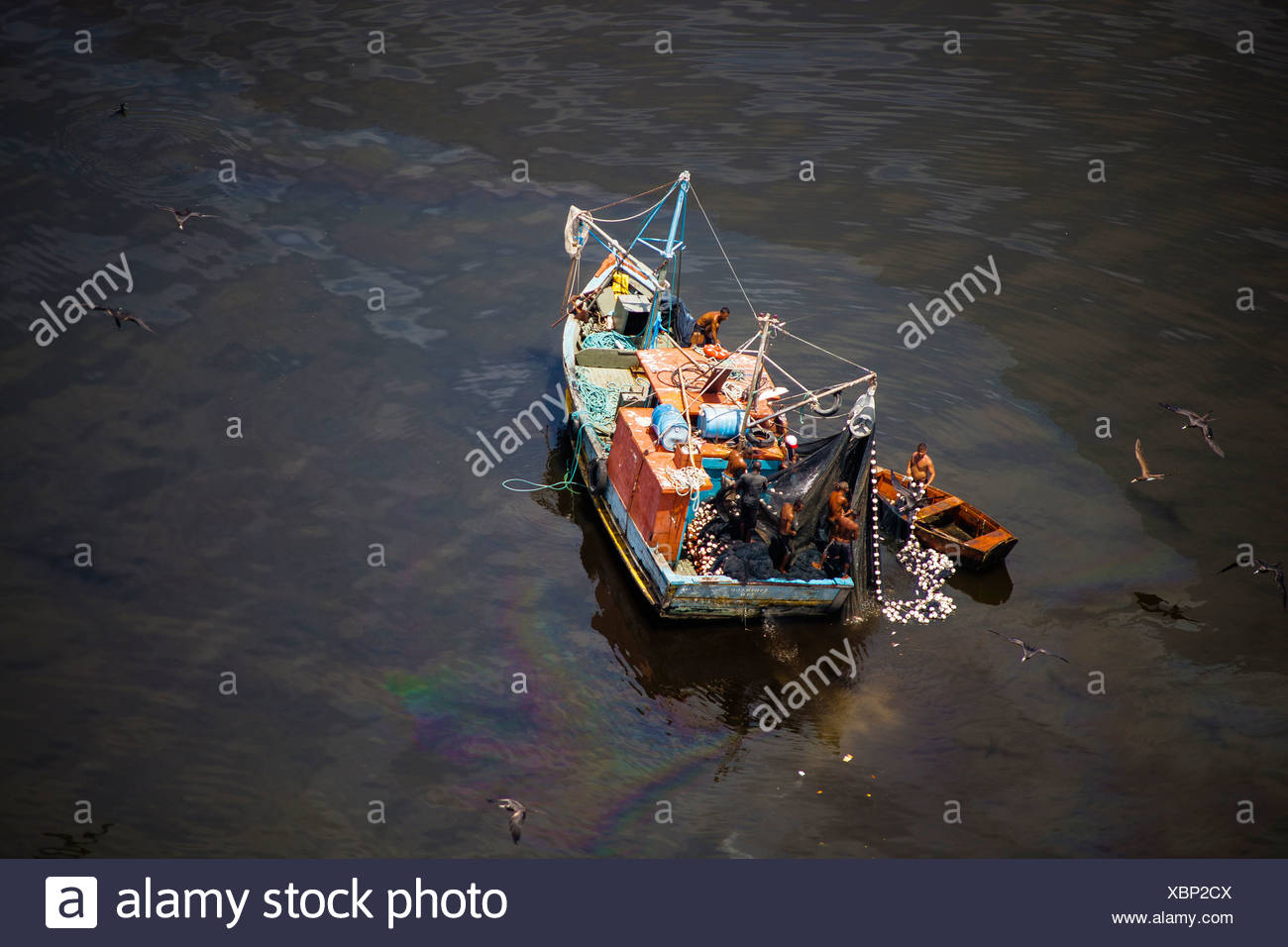 Oil Spill Water Stock Photos & Oil Spill Water Stock Images - Alamy