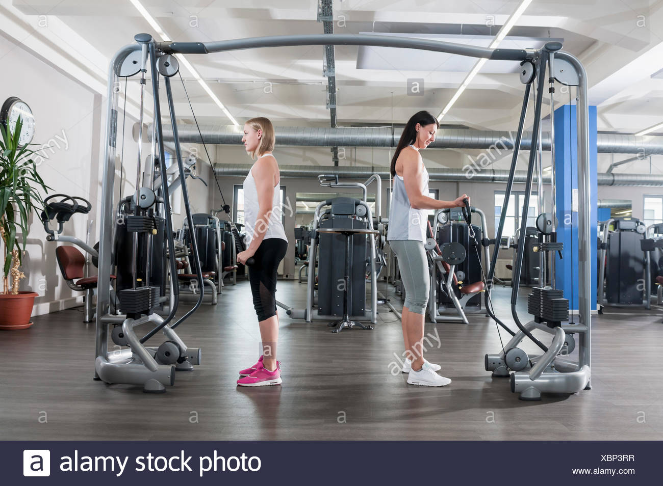 Fitness Studio High Resolution Stock Photography and Images - Alamy