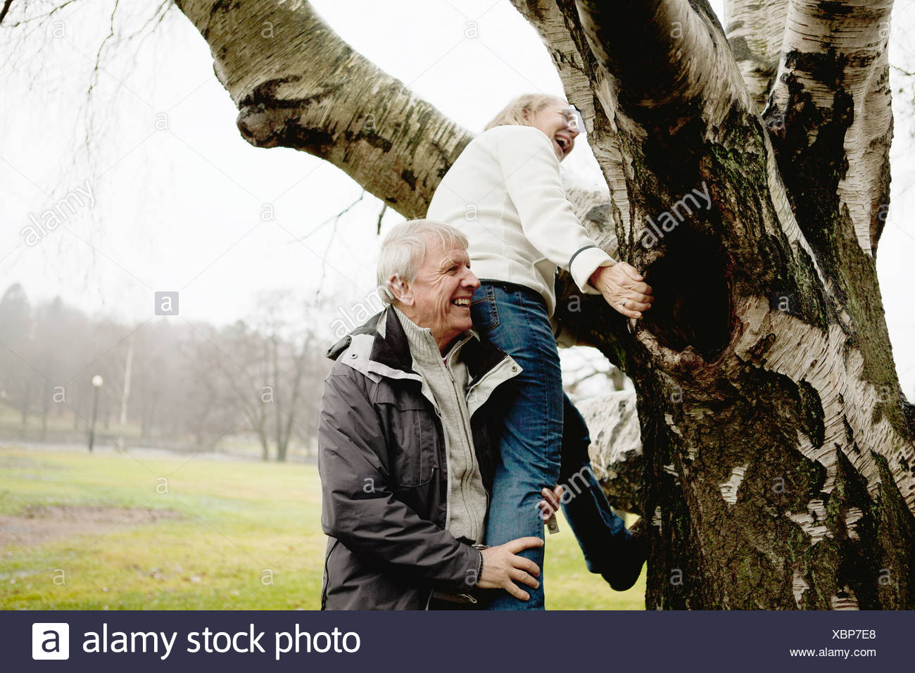 Tree Branch Support High Resolution Stock Photography and Images - Alamy