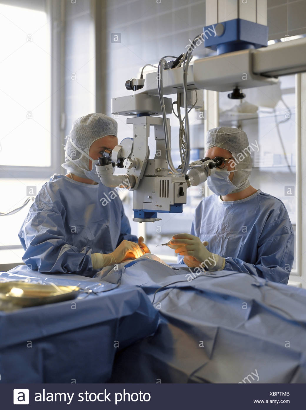 Microsurgery High Resolution Stock Photography and Images - Alamy
