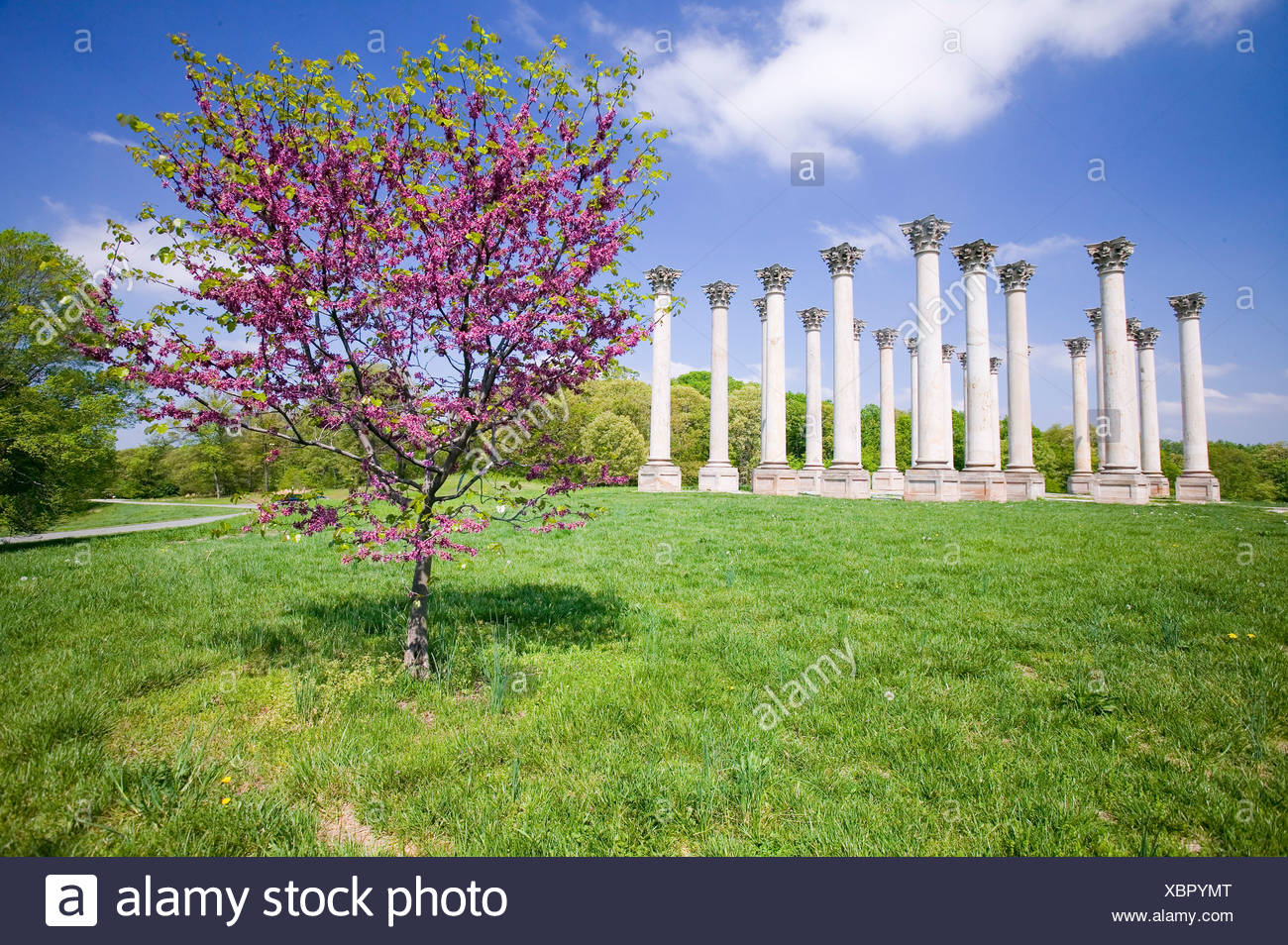 Arboretum National Capitol Columns High Resolution Stock Photography ...