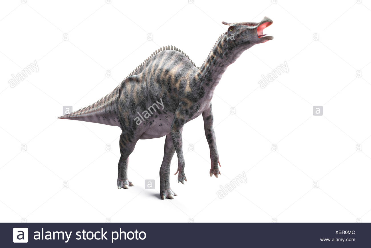 Saurolophus Stock Photos & Saurolophus Stock Images - Alamy