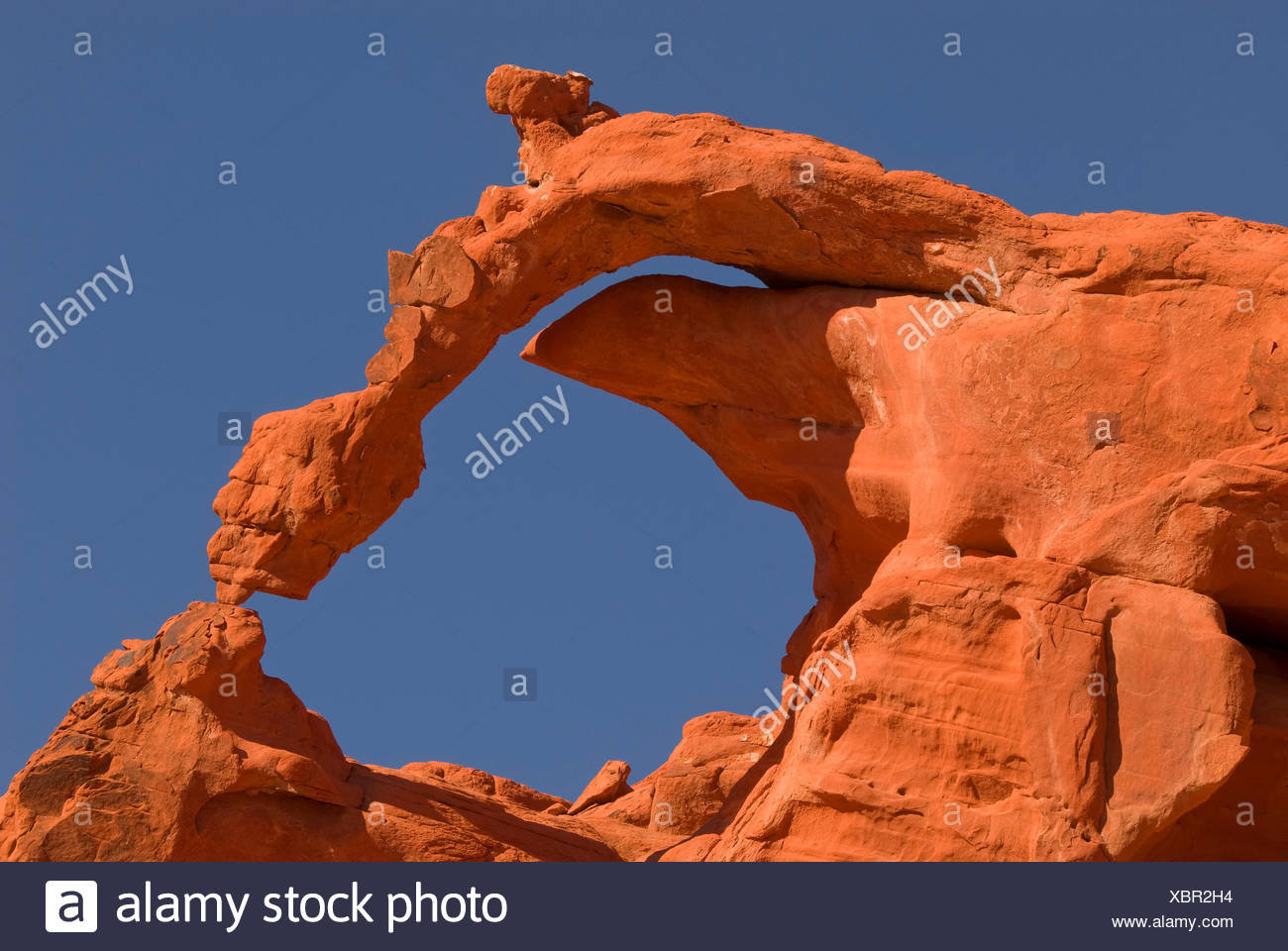 Ephemeral Nature High Resolution Stock Photography and Images - Alamy