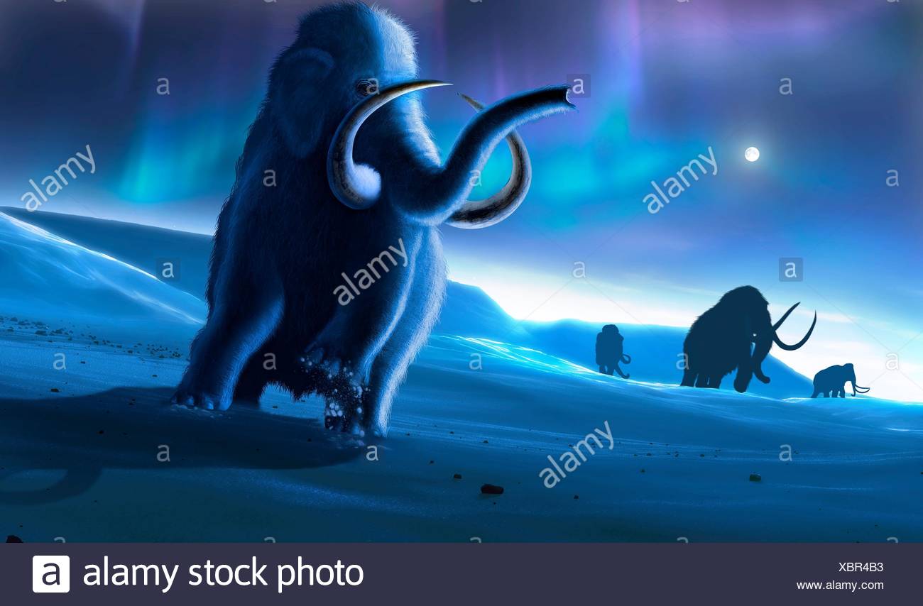 Mammoth Animal High Resolution Stock Photography and Images - Alamy