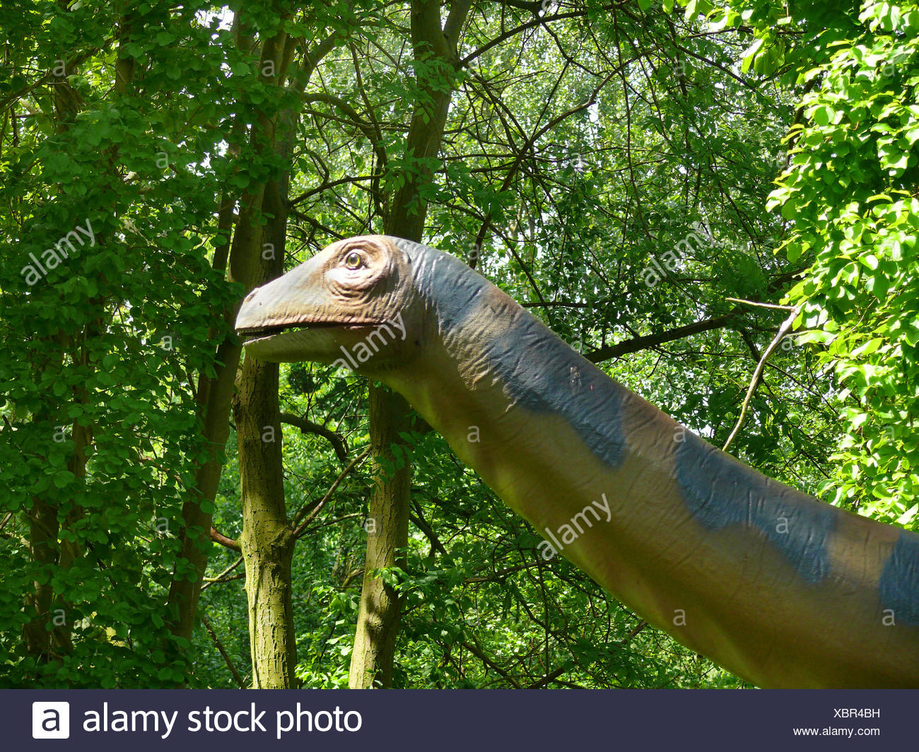 Apatosaurus High Resolution Stock Photography and Images - Alamy