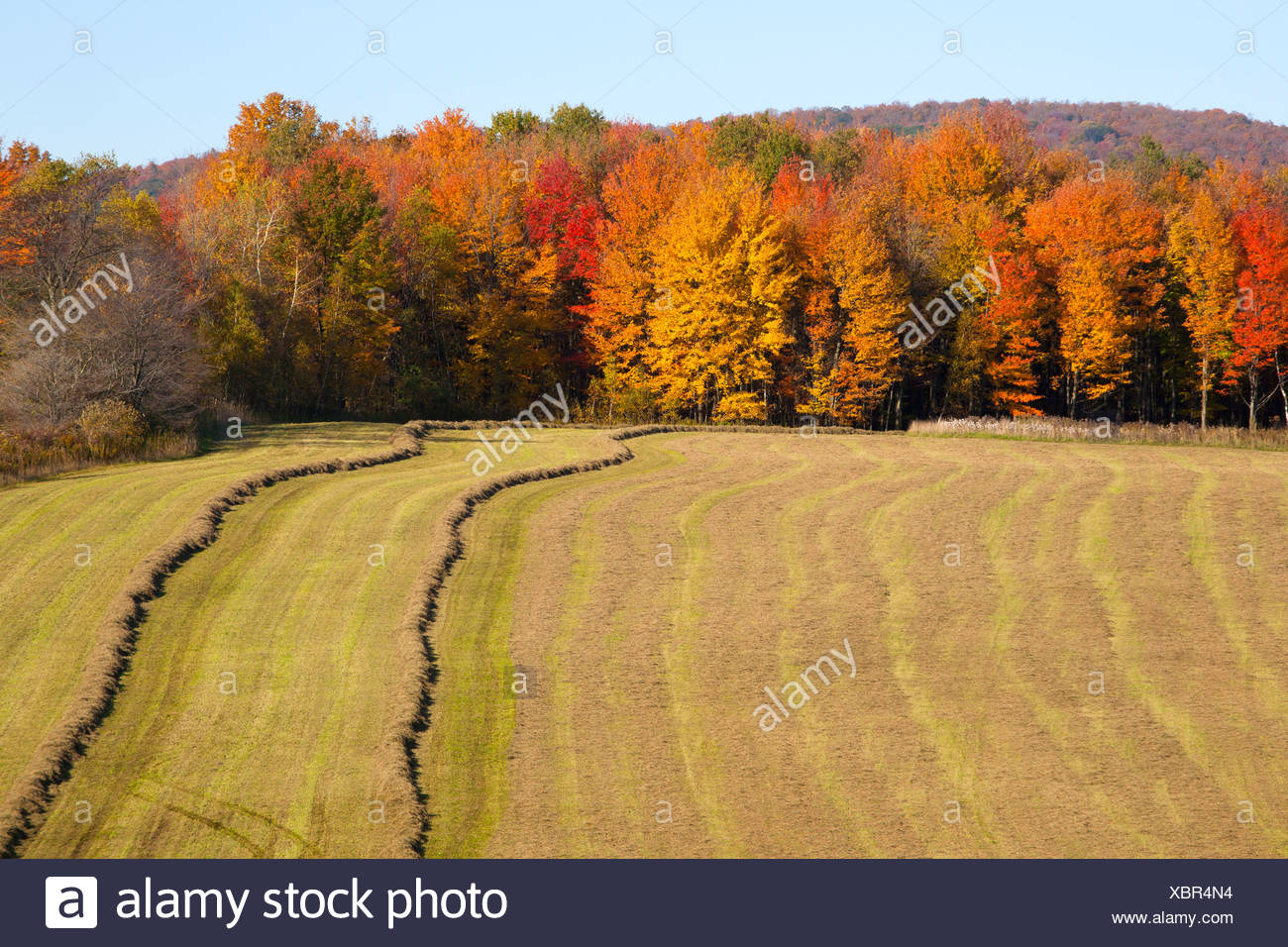 Abercorn Quebec High Resolution Stock Photography and Images - Alamy