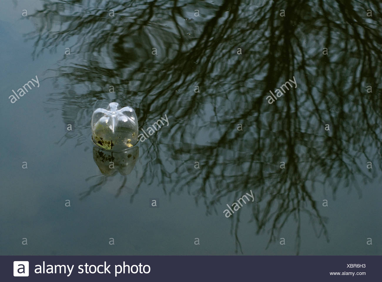 Tipping Water High Resolution Stock Photography and Images - Alamy