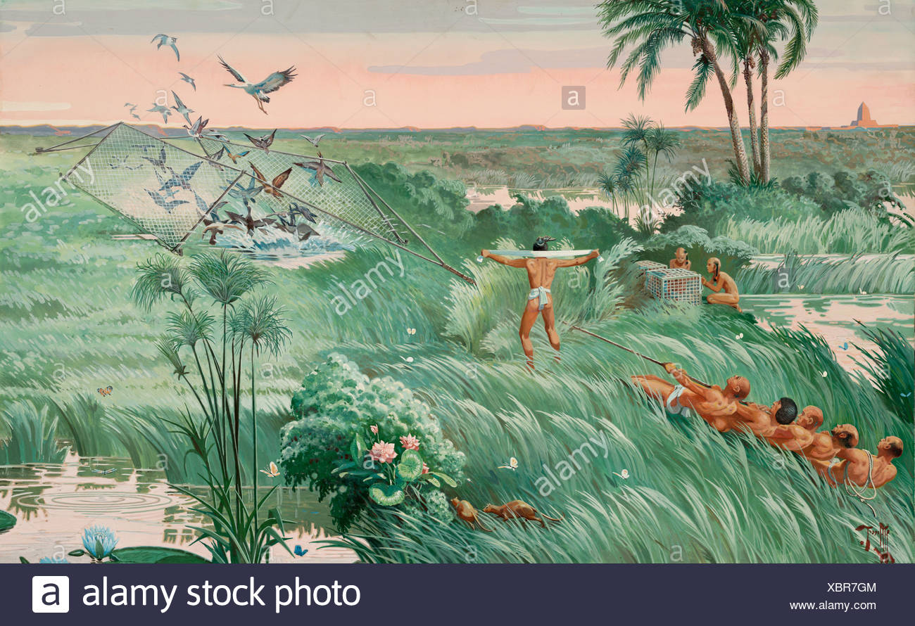 Egyptian Hunting Birds Stock Photos & Egyptian Hunting Birds Stock ...