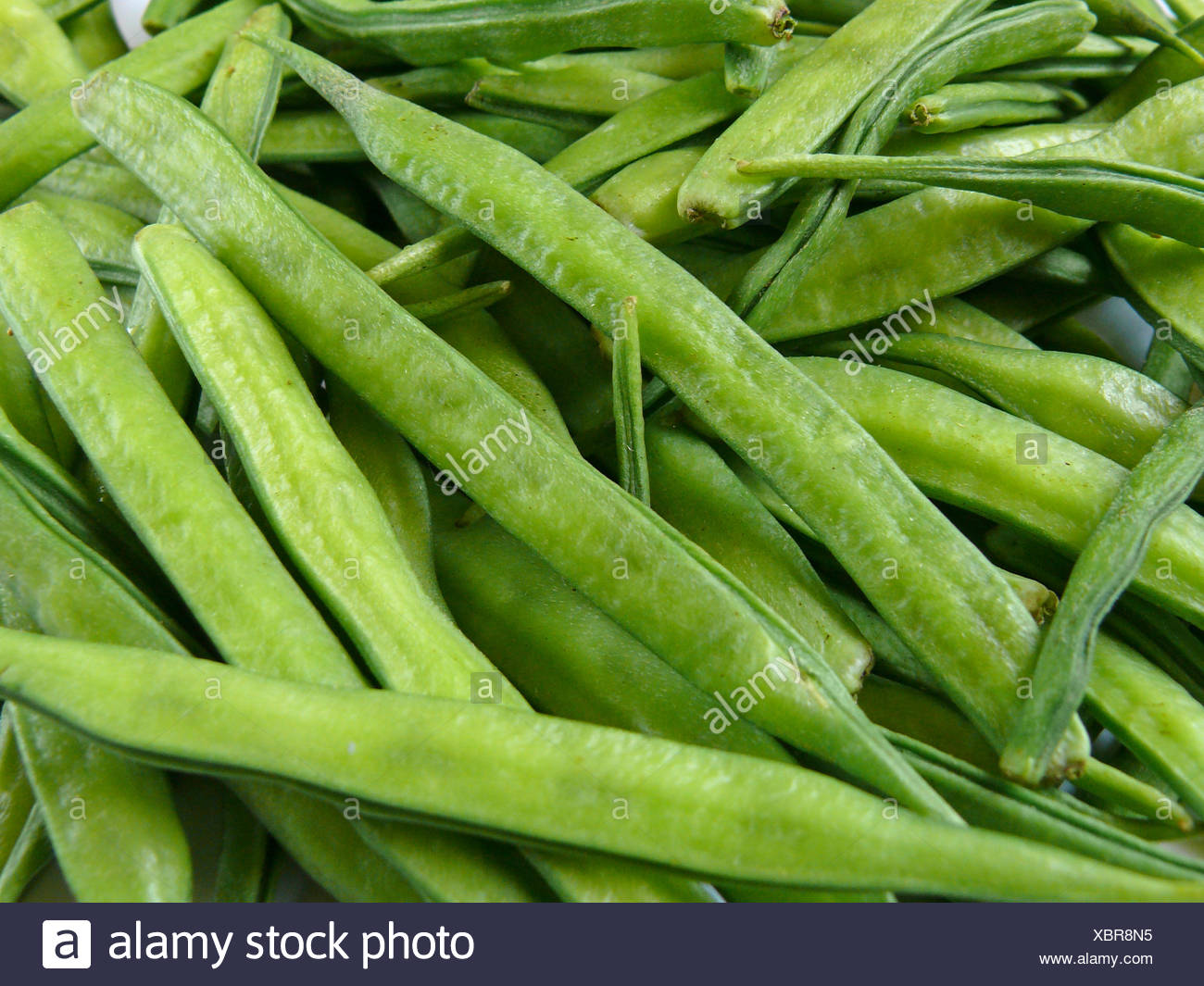 Cyamopsis Tetragonoloba High Resolution Stock Photography and Images ...