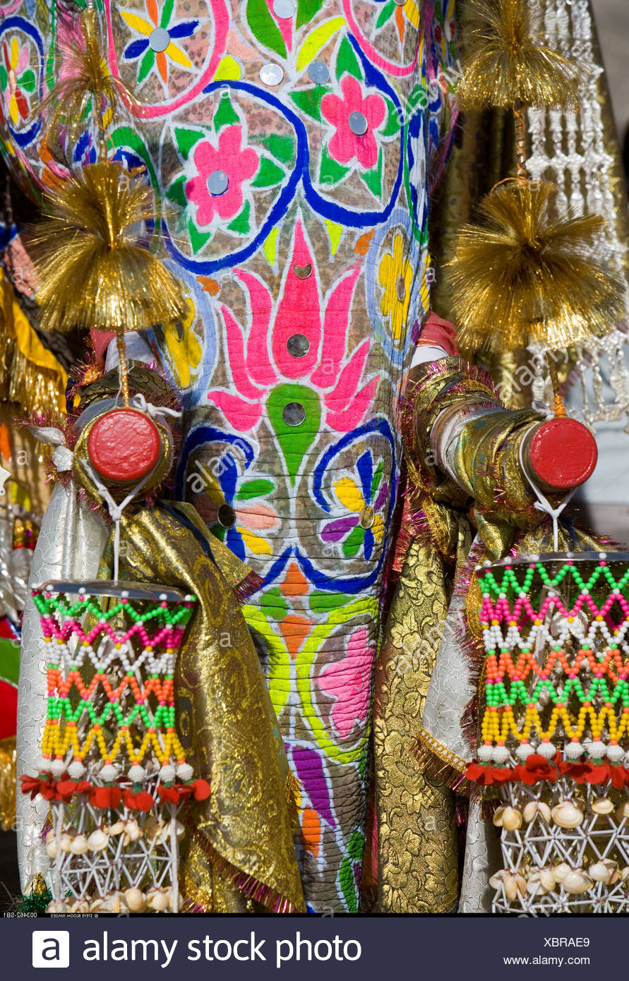 Decorated Elephants Stock Photos & Decorated Elephants Stock Images - Alamy