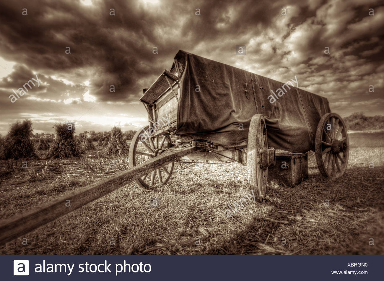 Horse And Hay Cart High Resolution Stock Photography and Images - Alamy
