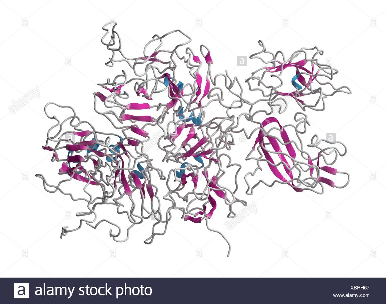 Beta Sheets Stock Photos & Beta Sheets Stock Images - Alamy