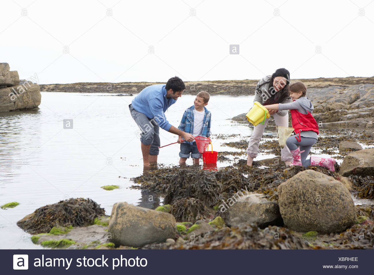 Collecting Shells Stock Photos & Collecting Shells Stock Images - Alamy