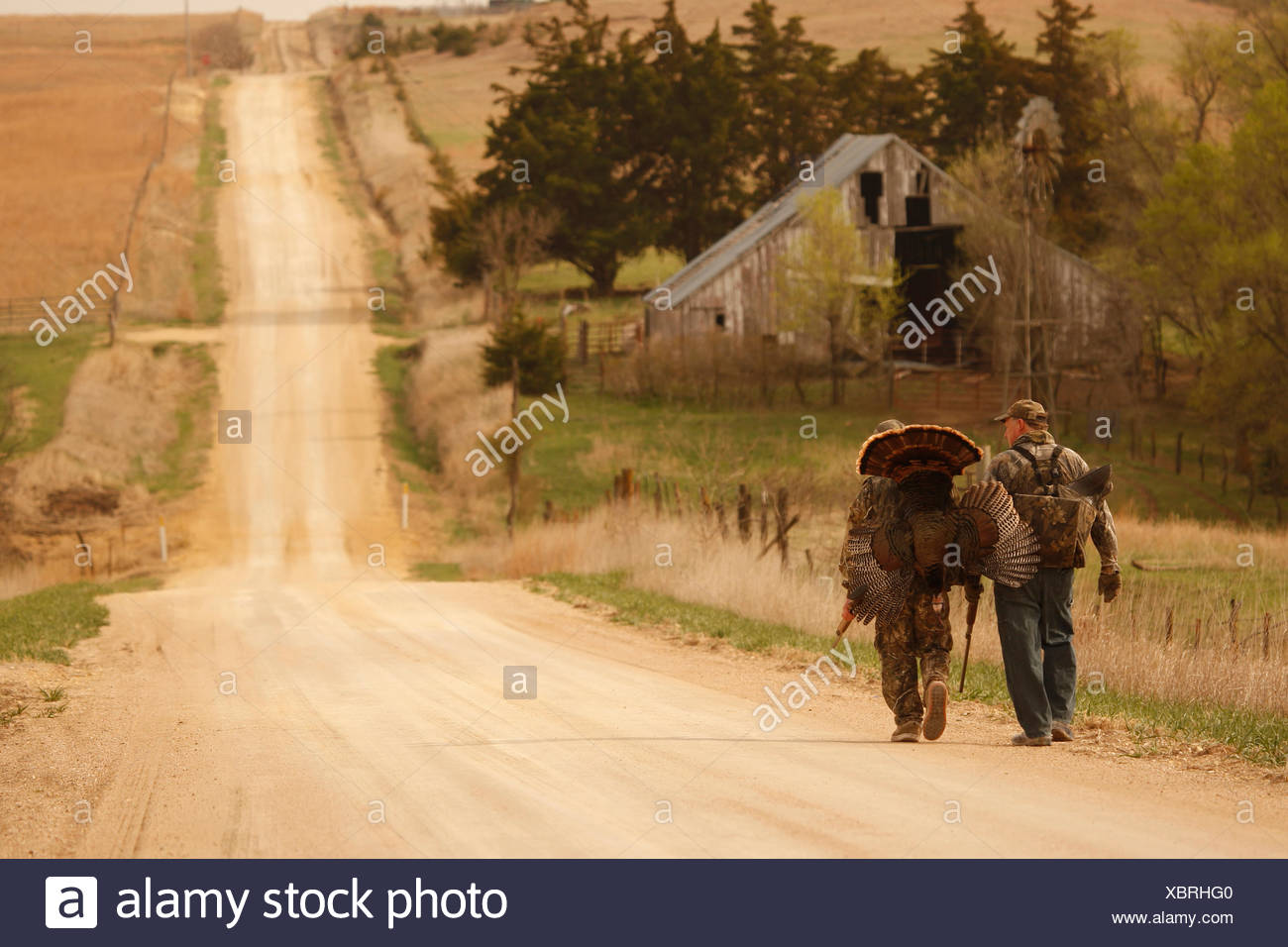 Turkey Hunting Gun High Resolution Stock Photography and Images - Alamy