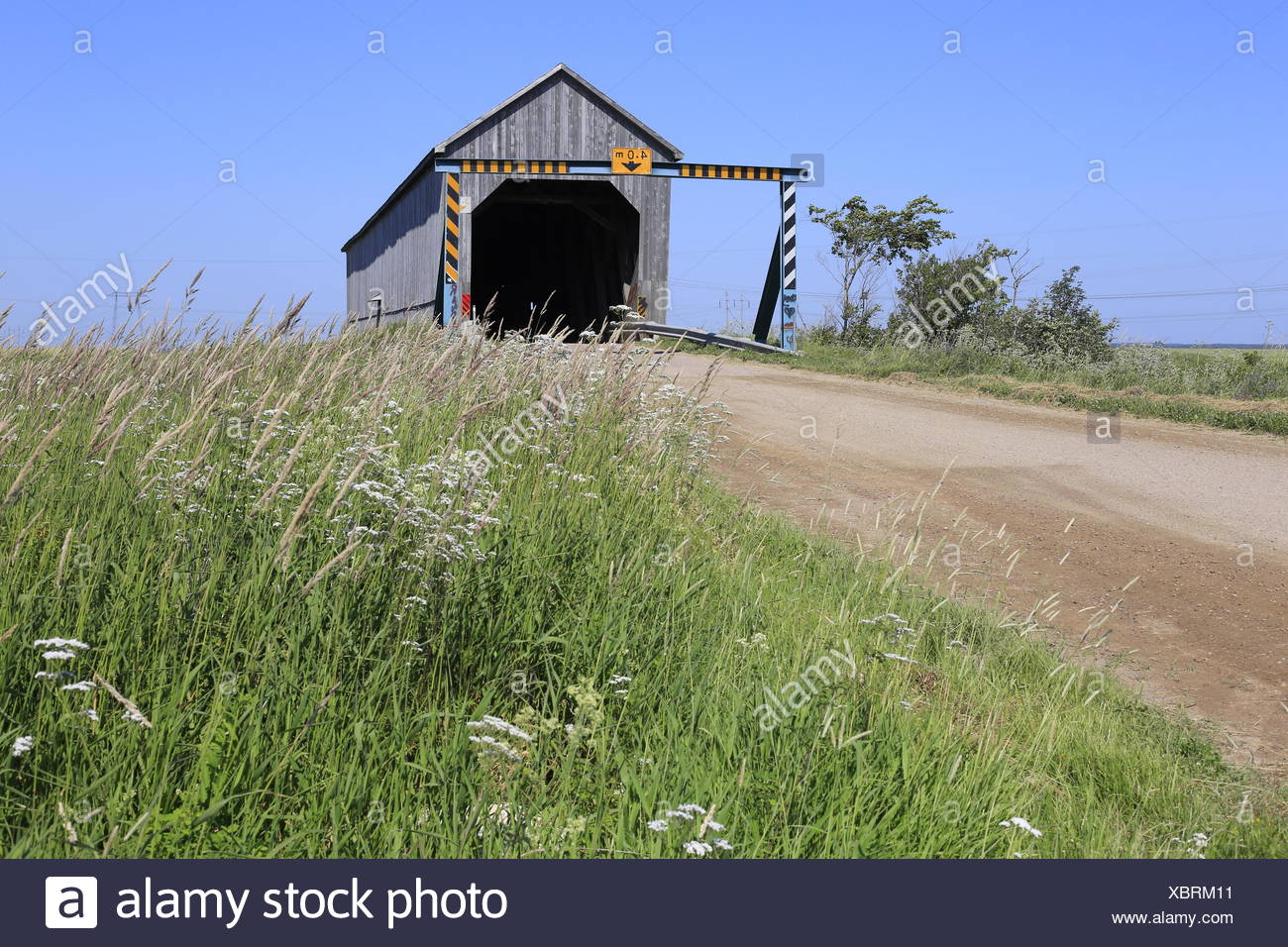 Tantramar Marsh High Resolution Stock Photography and Images - Alamy