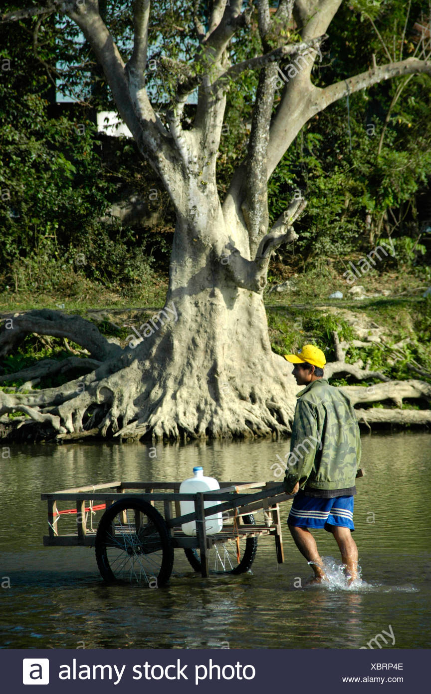 Person Pushing A Wheelbarrow High Resolution Stock Photography and ...