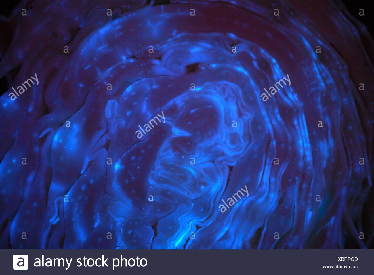 Luminol High Resolution Stock Photography and Images - Alamy