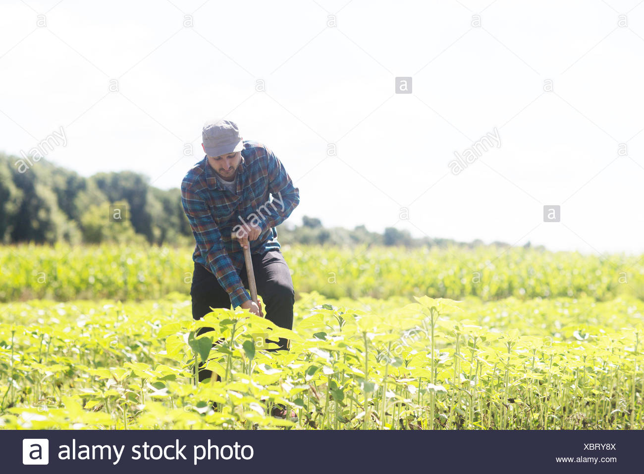 Digging Field High Resolution Stock Photography and Images - Alamy