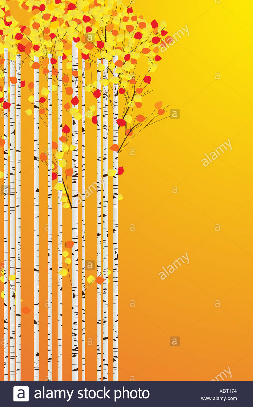 Birch Forest Cartoon High Resolution Stock Photography and Images - Alamy