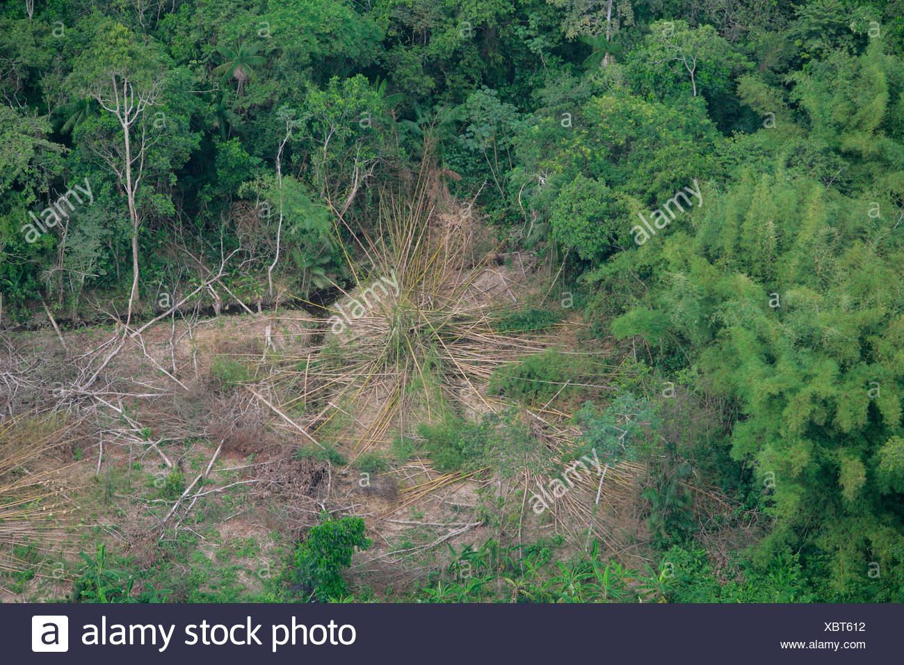 Aerial Rainforest Deforestation High Resolution Stock Photography and ...