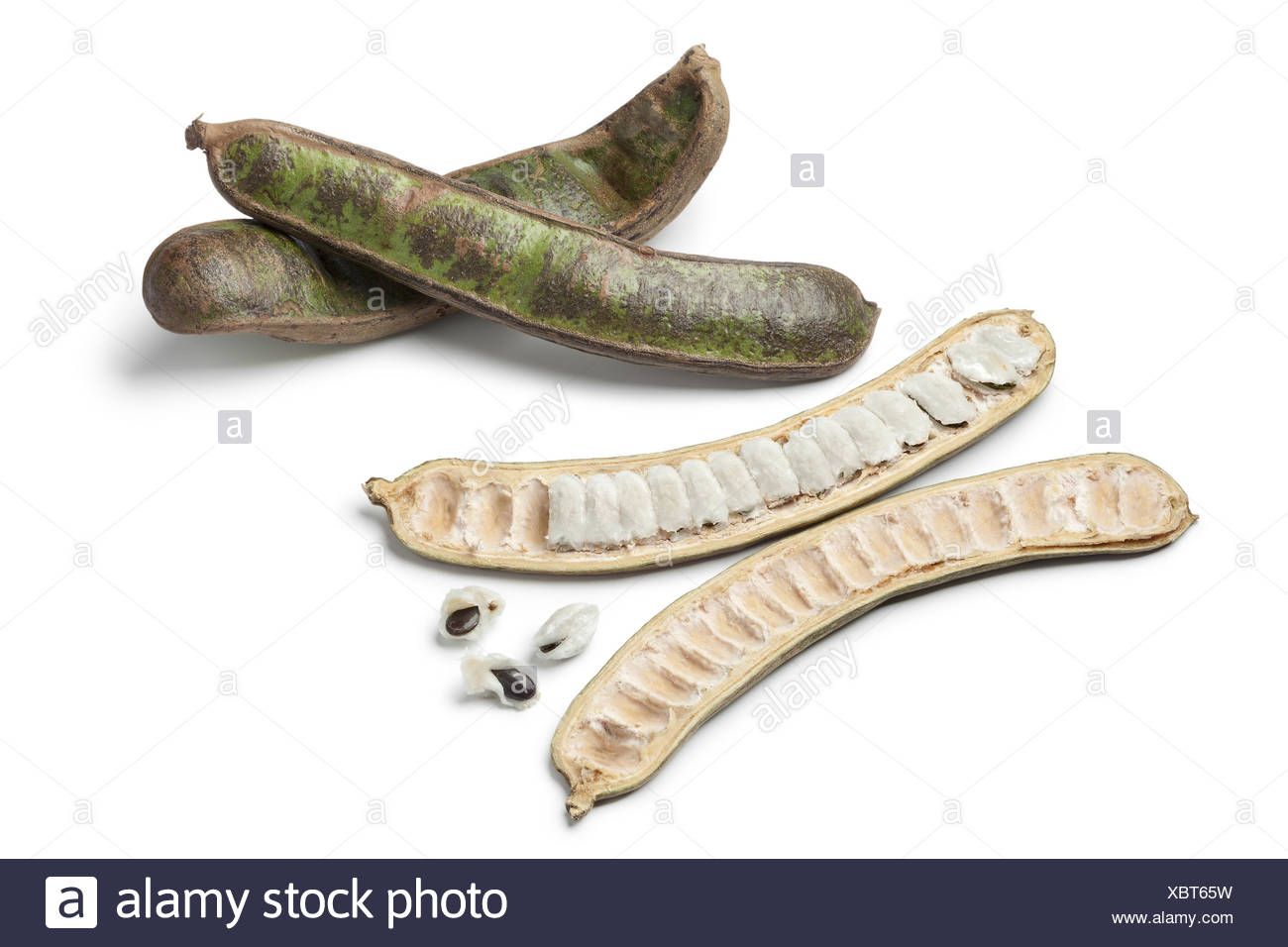 Inga Feuillei Stock Photos & Inga Feuillei Stock Images - Alamy