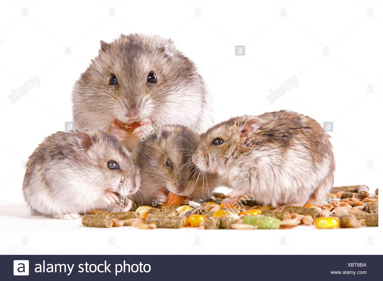 Families Cut Out Stock Images & Pictures - Alamy