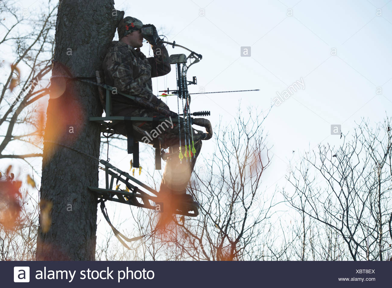 Tree Stand Bow Hunter High Resolution Stock Photography and Images - Alamy