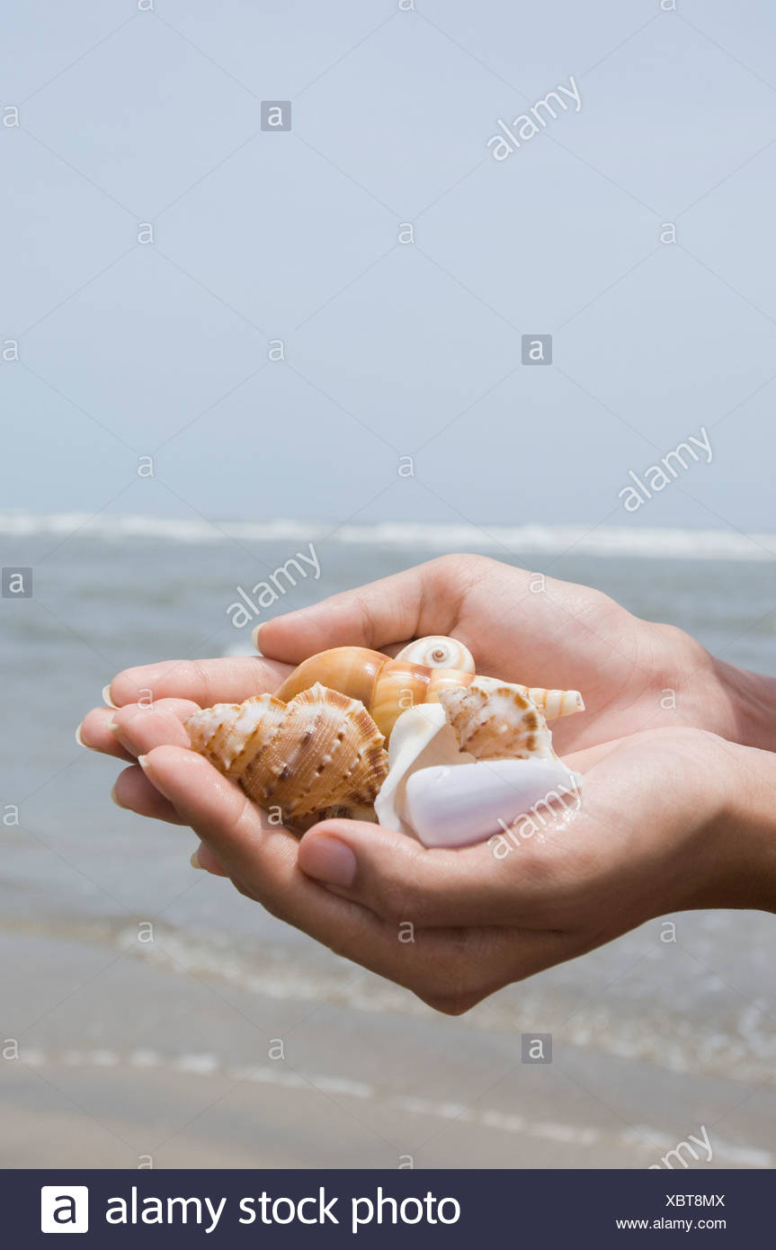Hands Holding Shells High Resolution Stock Photography and Images - Alamy