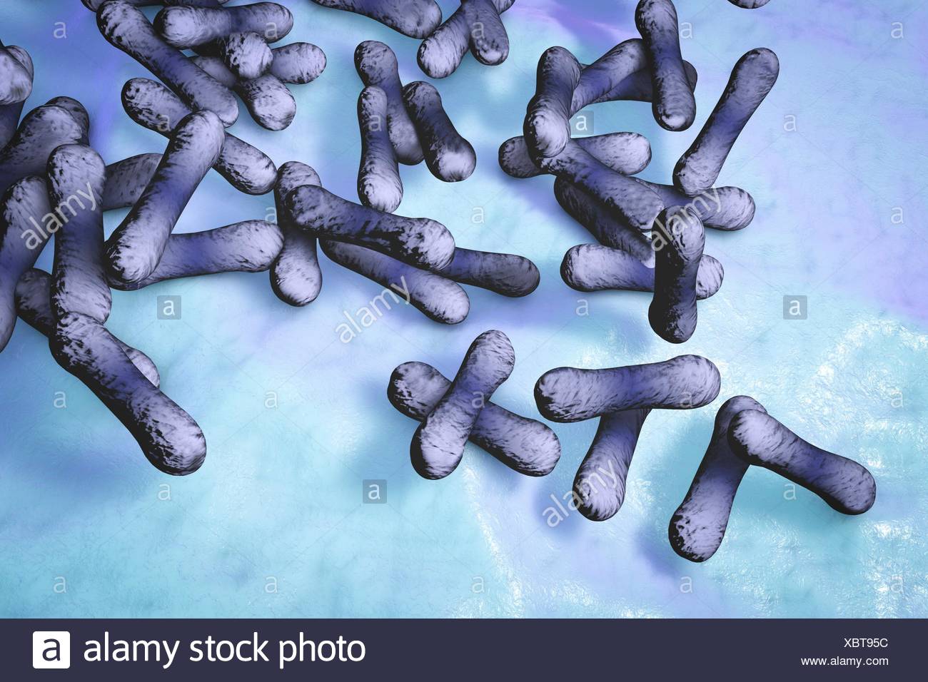 Corynebacterium Diphtheriae High Resolution Stock Photography and ...