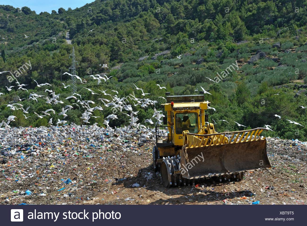 Garbage Dump Stock Photos & Garbage Dump Stock Images - Alamy