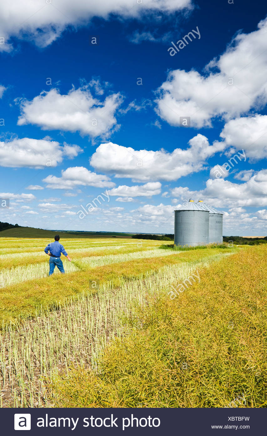 Silver Clouds Pattern High Resolution Stock Photography and Images - Alamy