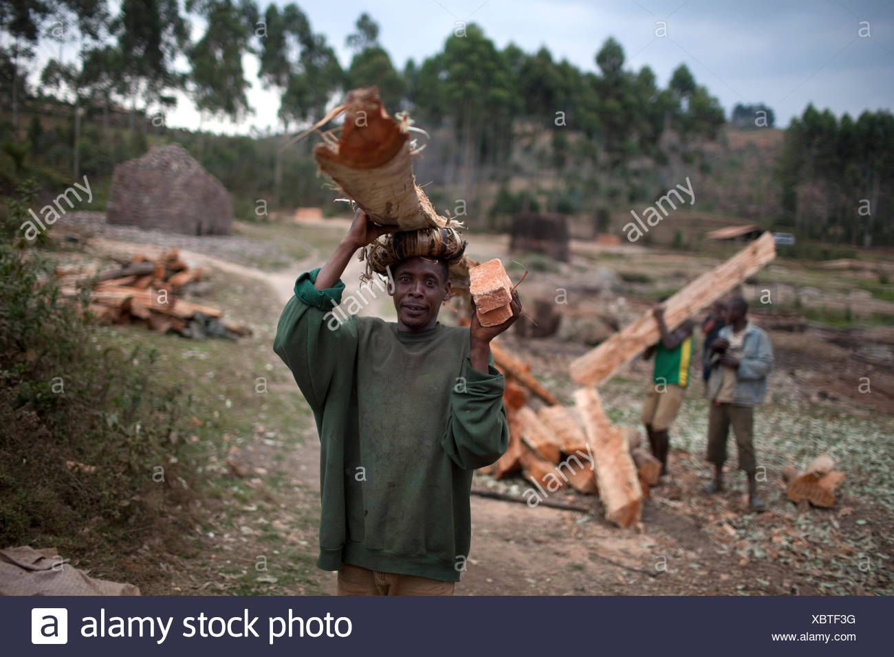 Timber Carrying High Resolution Stock Photography and Images - Alamy