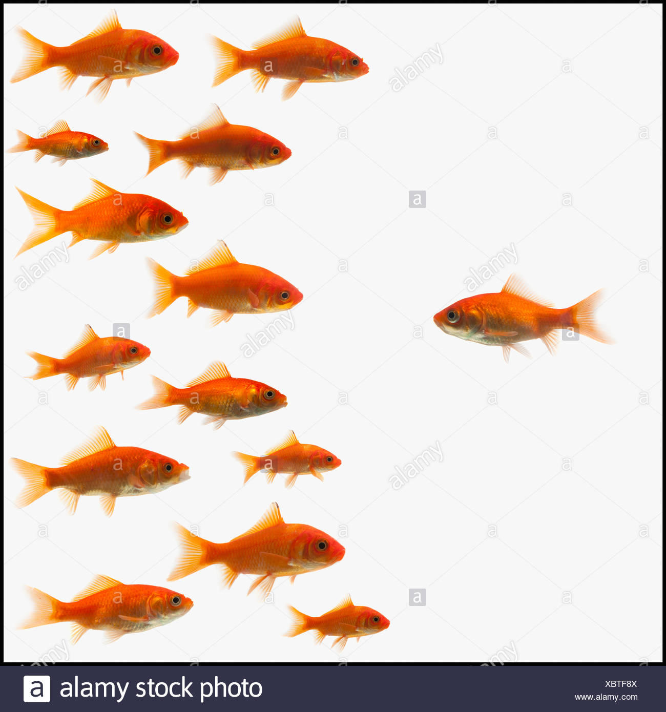 No Photos Of People Photographs Photographs High Resolution Stock ...