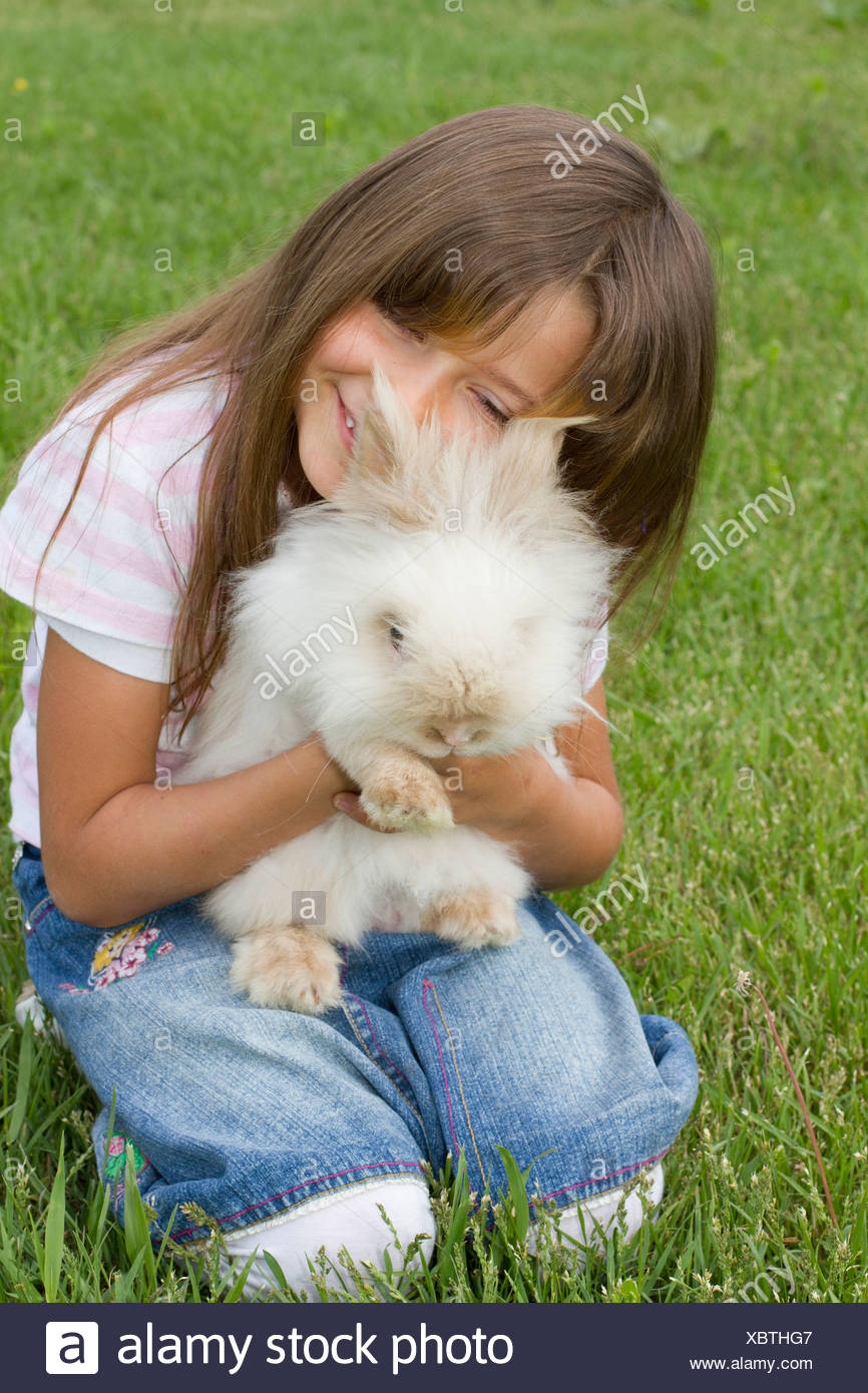 Teddy Dwarf Rabbit Stock Photos & Teddy Dwarf Rabbit Stock Images - Alamy