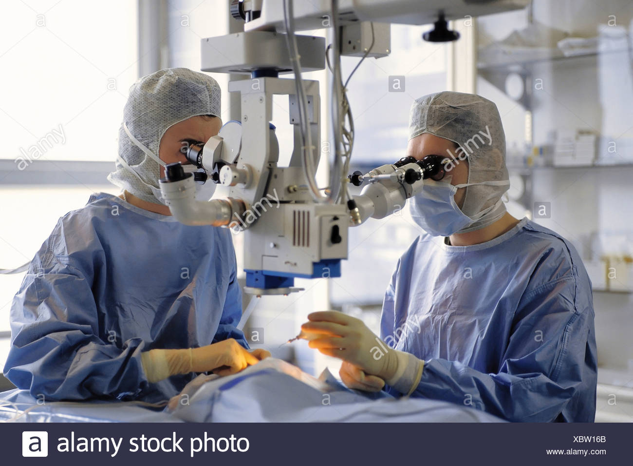 Microsurgery High Resolution Stock Photography and Images - Alamy
