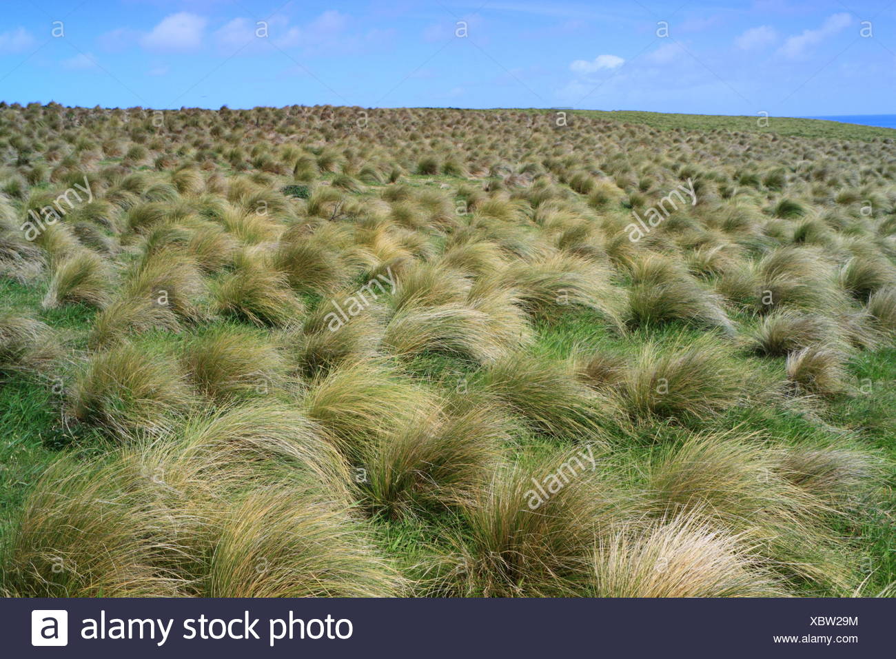 Slope Point High Resolution Stock Photography and Images - Alamy