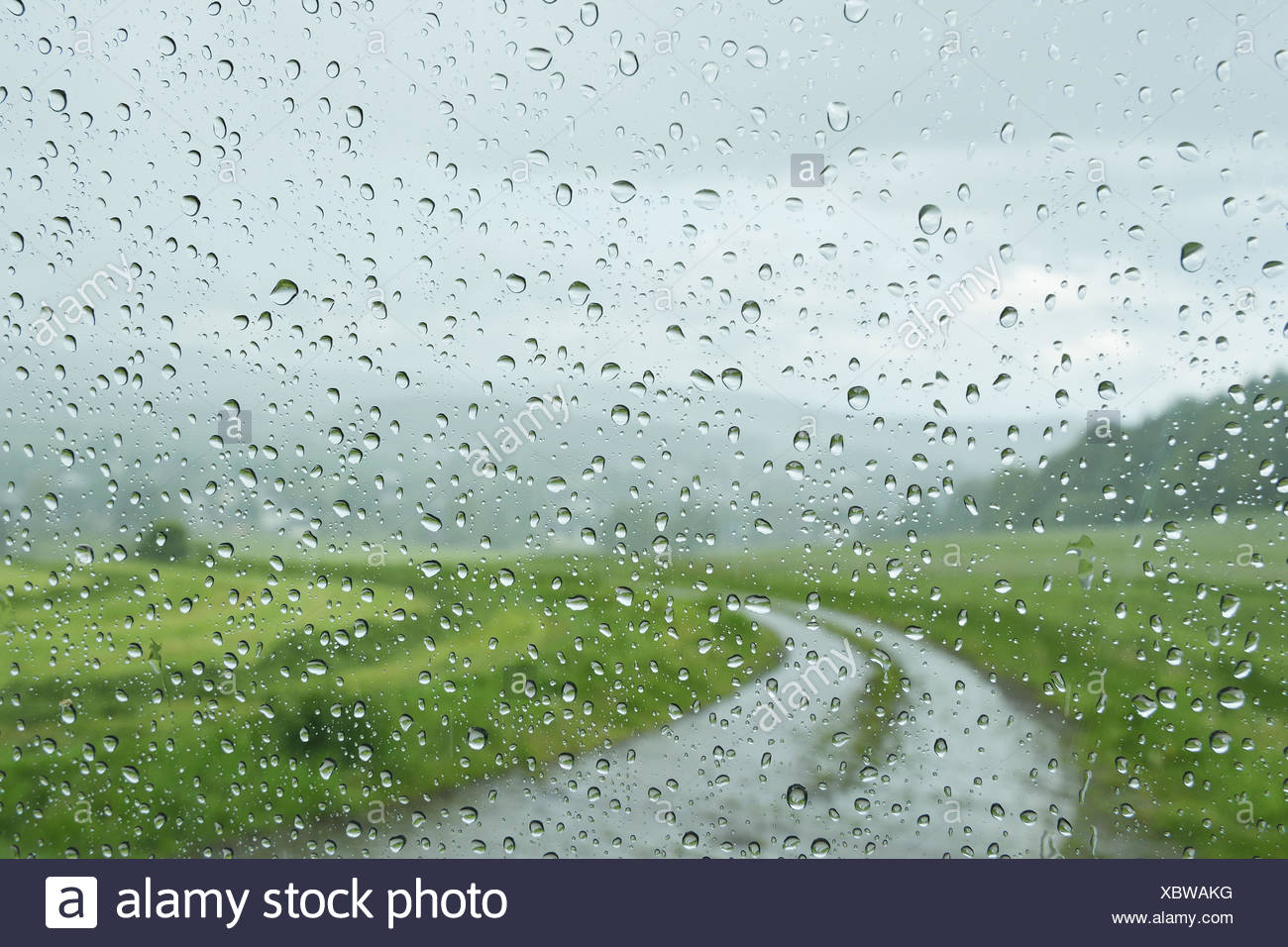 Rain Shower High Resolution Stock Photography and Images - Alamy