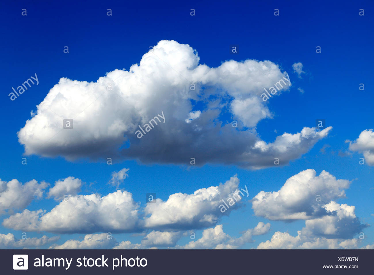 White Puffy Cumulus Clouds Cloud Skies Meteorology Weather Background ...