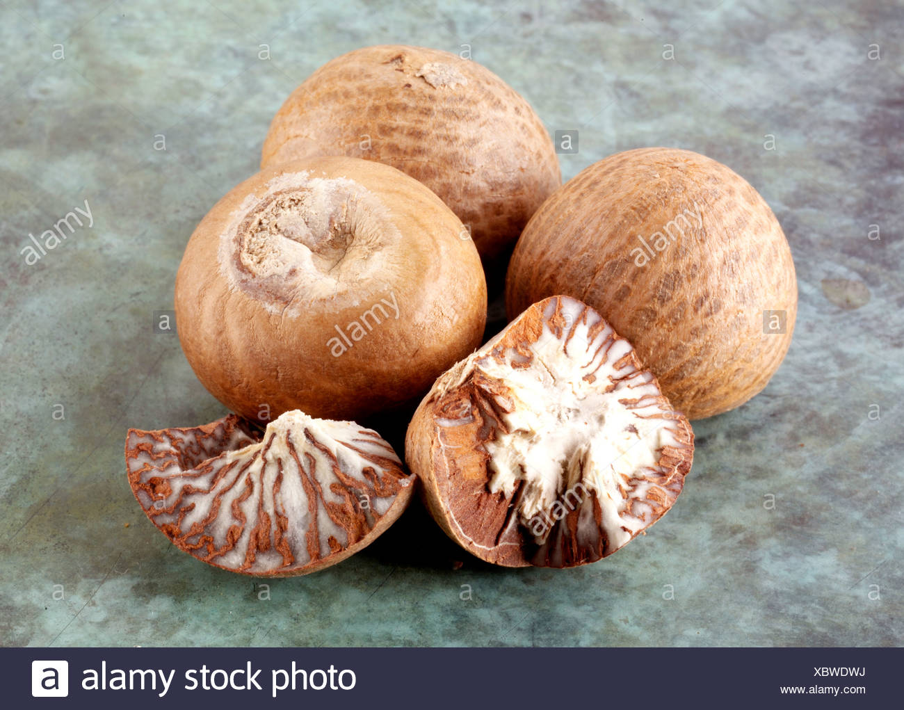 Asian Betelnut High Resolution Stock Photography and Images - Alamy