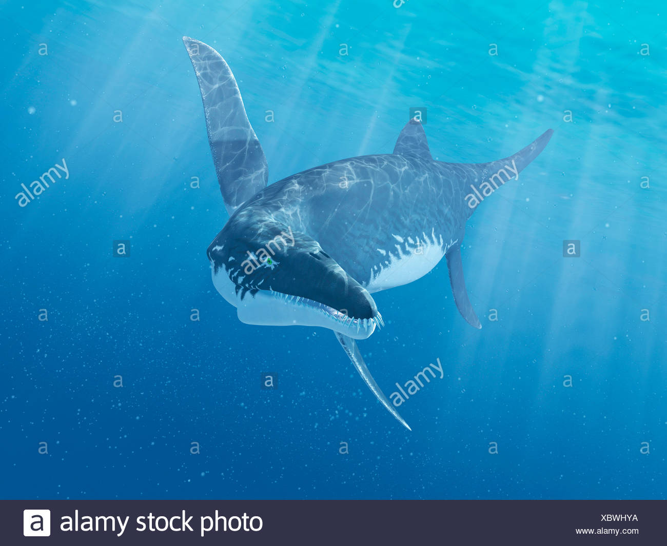 Liopleurodon High Resolution Stock Photography and Images - Alamy