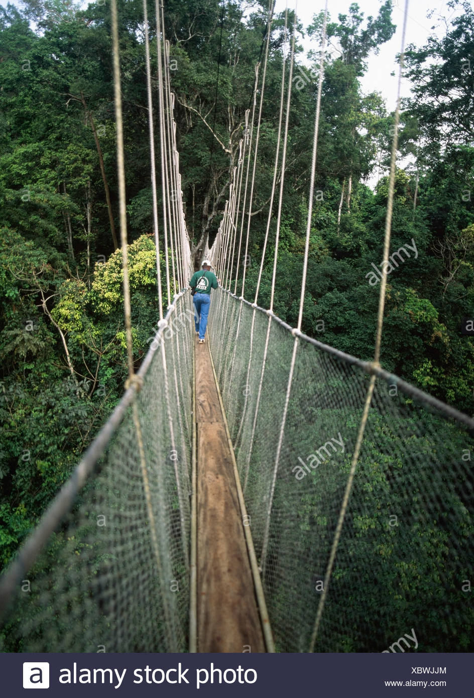 Kakum National Park Canopy Walk High Resolution Stock Photography and ...