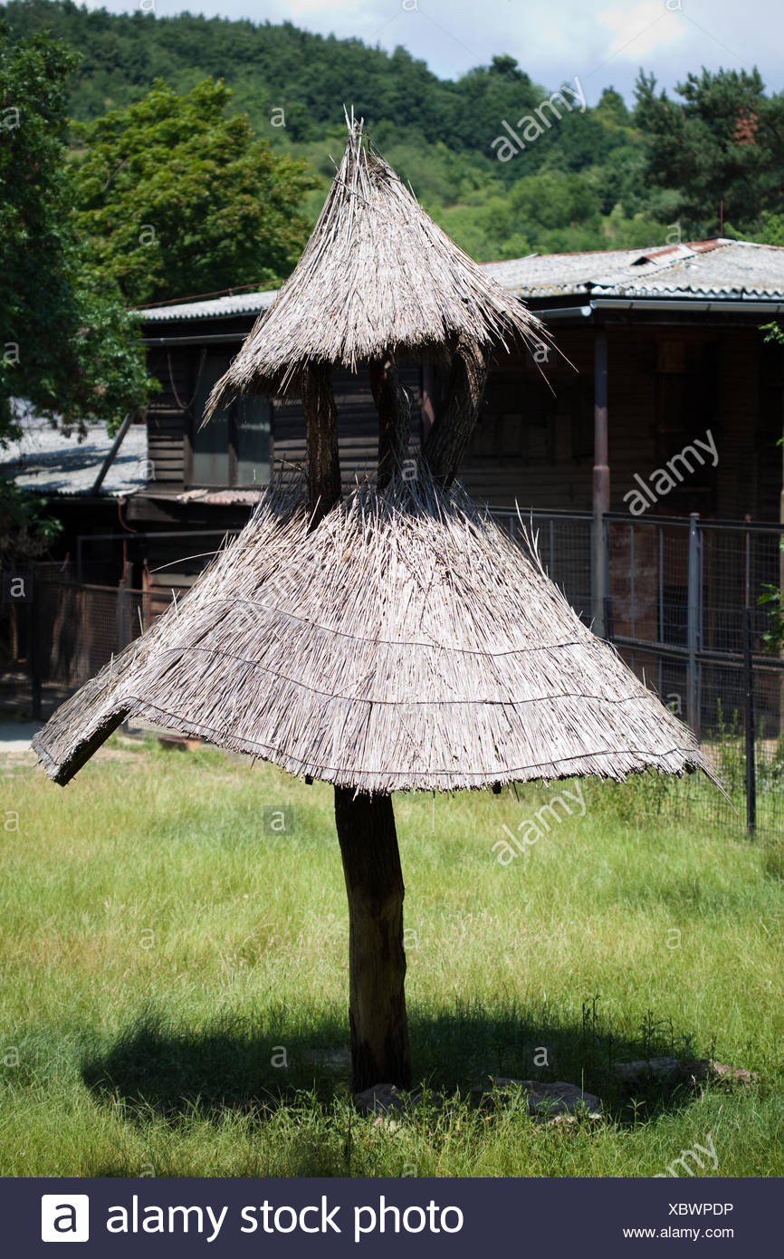 Grass Hut Hawaii High Resolution Stock Photography and Images - Alamy