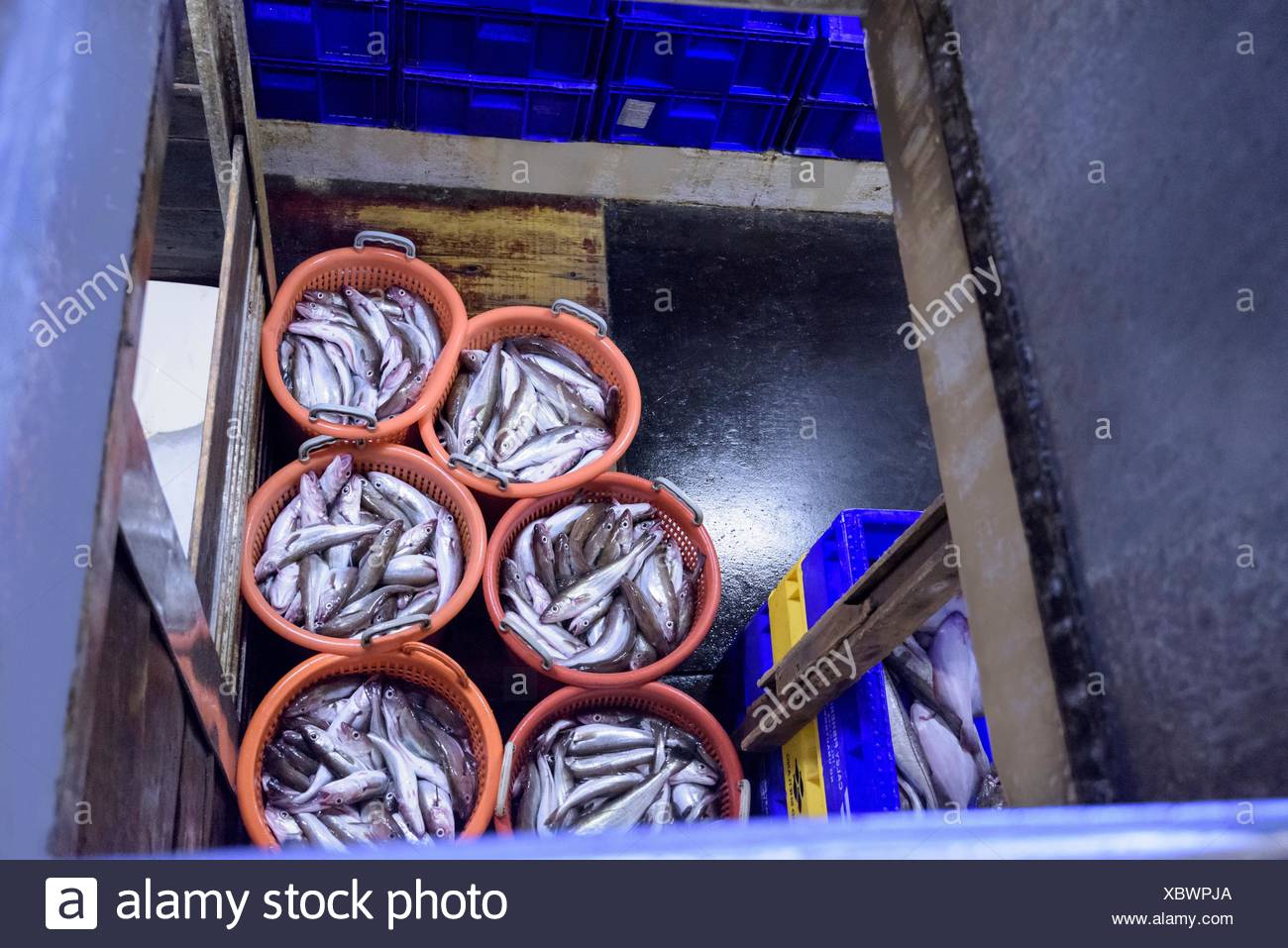 Baskets Fish In Fishing Trawler High Resolution Stock Photography and ...