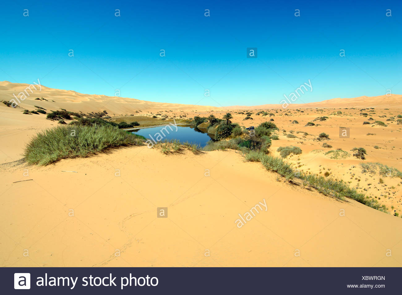 Oasis Sahara High Resolution Stock Photography and Images - Alamy