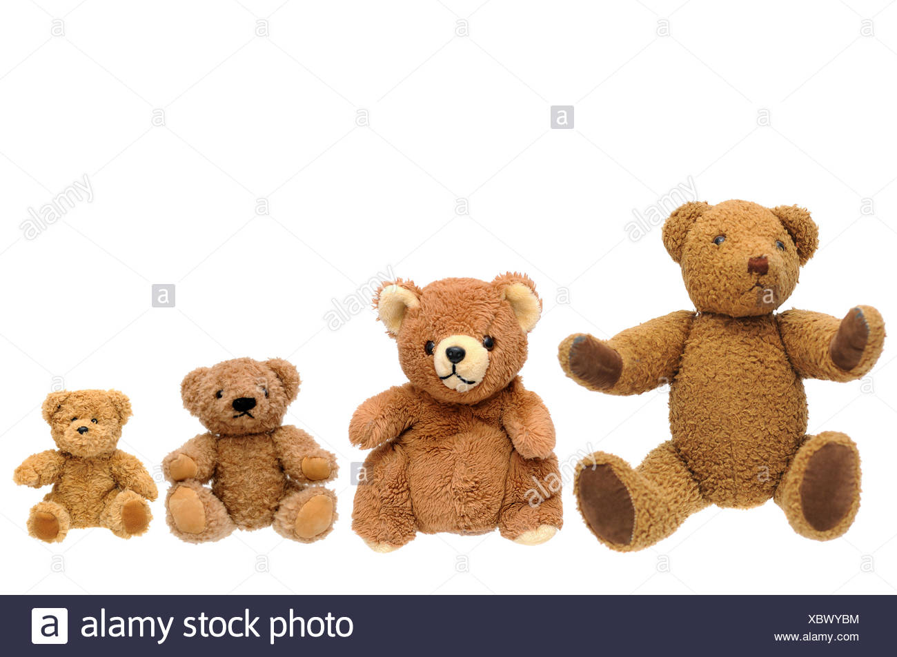 Four Bears High Resolution Stock Photography and Images - Alamy