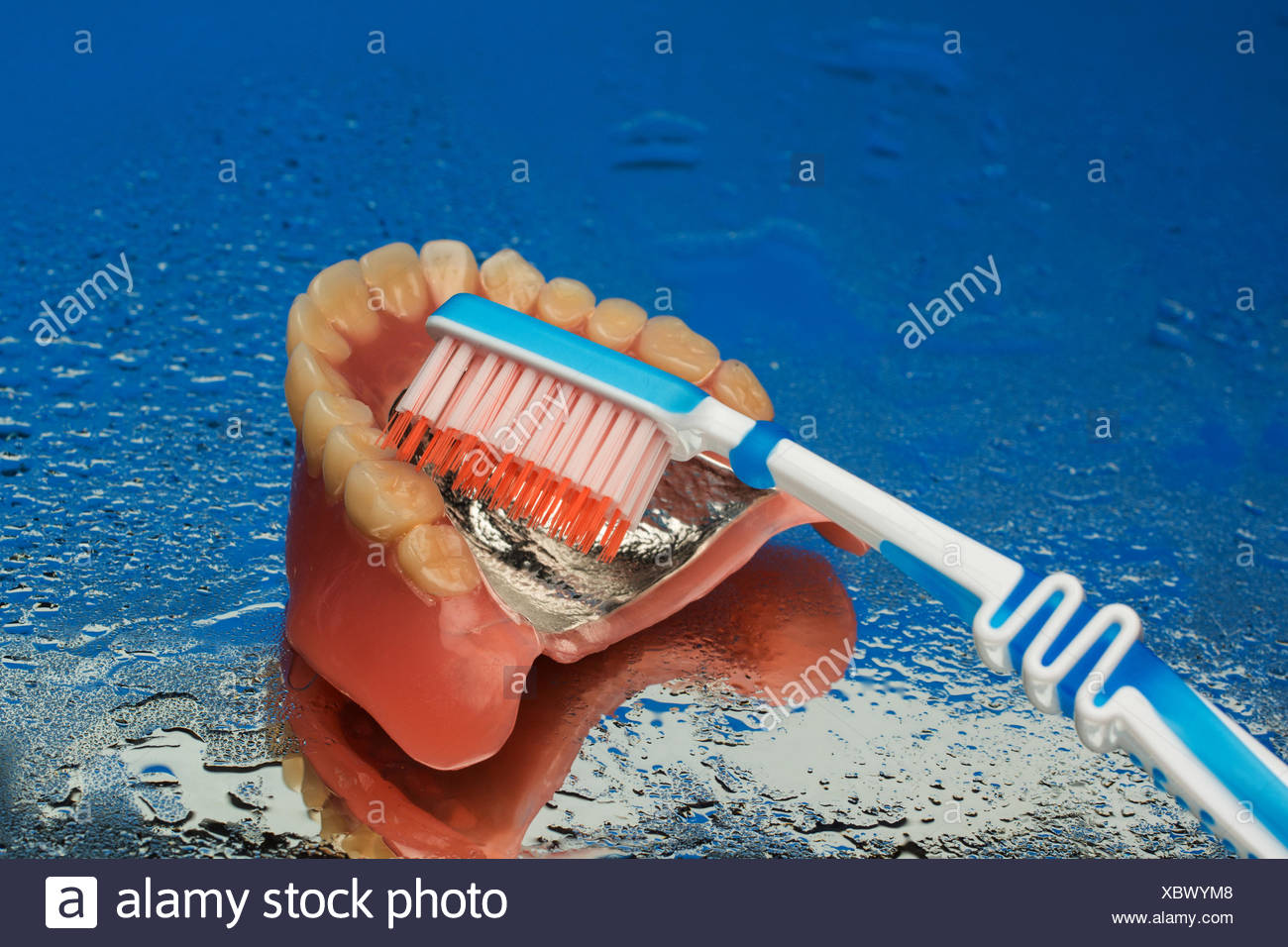 Plastic Teeth High Resolution Stock Photography and Images - Alamy